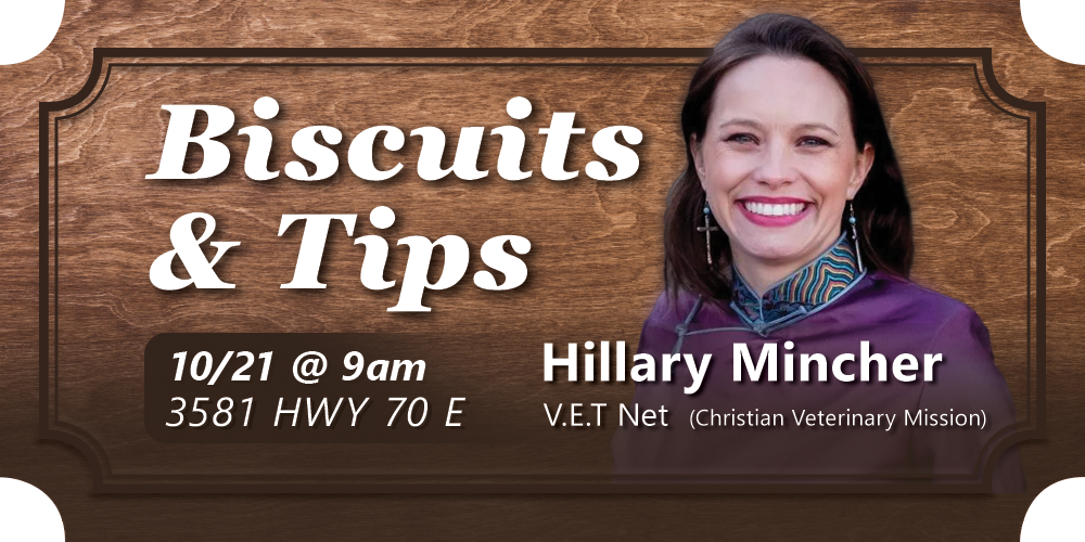 Biscuits 'n' Tips - V.E.T Net By Hillary Mincher - The Ledge